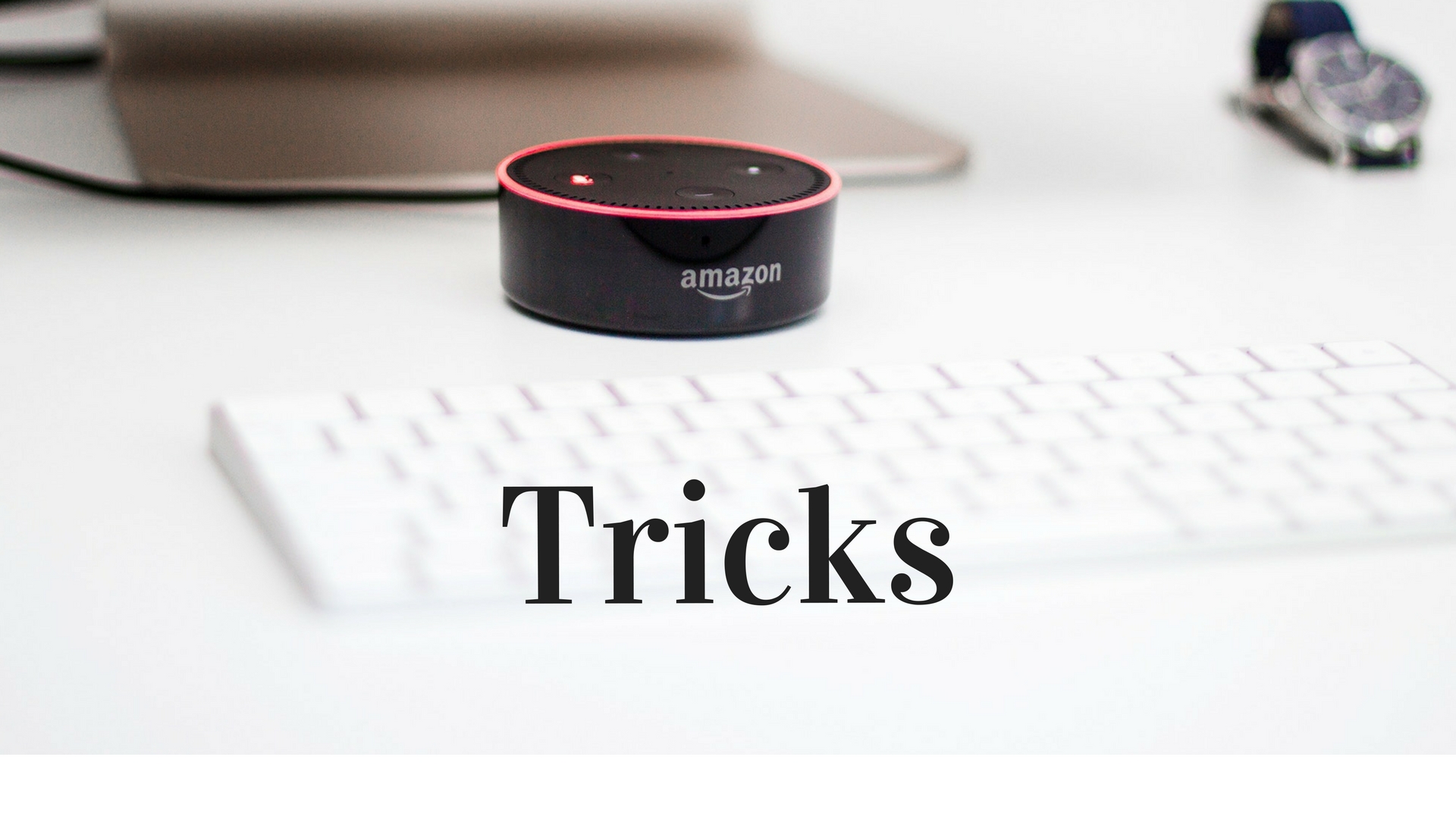 The Best Alexa Tricks That Will Unlock The True Potential Of Your The Best Alexa Tricks That Will Unlock The True Potential Of Your